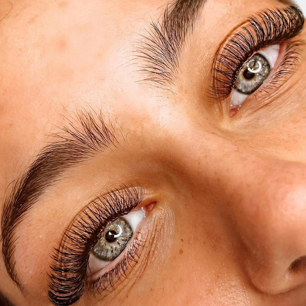 Premium Volume Lashes 0.05 | Lash Envy Pro